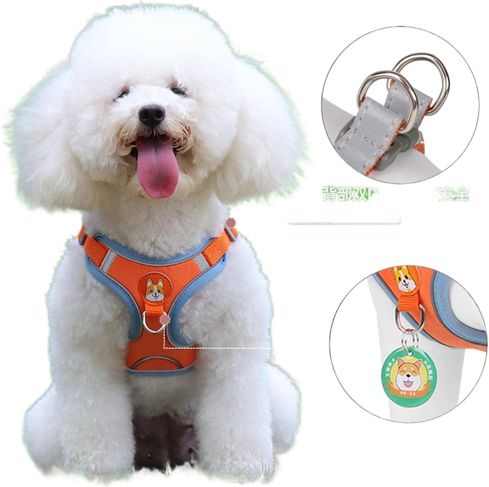 Pechera Correa, Perro Chico, Marca Corgi – Pet Park